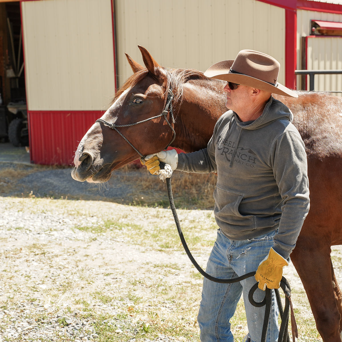 Hoodies – Rebel Ranch